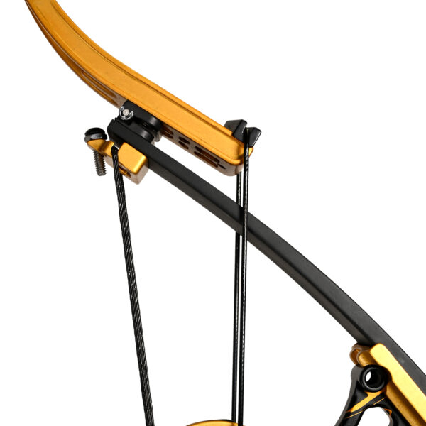 Mega-Rex™ Bow – Apex Gold Color | MegaMouth Bowfishing